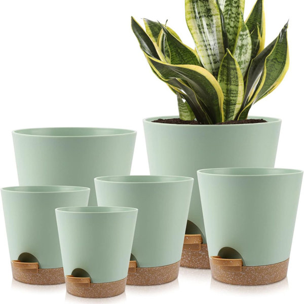 Ameriwood Color Barrel Planter - Wayfair Canada